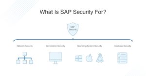 SAP Security Tutorial for Beginners - DNSstuff