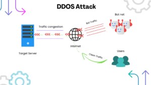 Website Outages - How to Check and Avoid Them