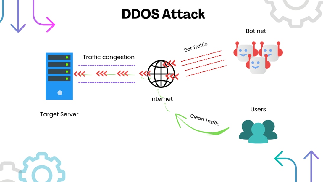 Website Outages - How to Check and Avoid Them